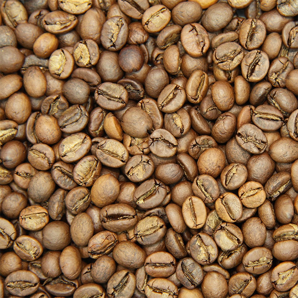 robusta